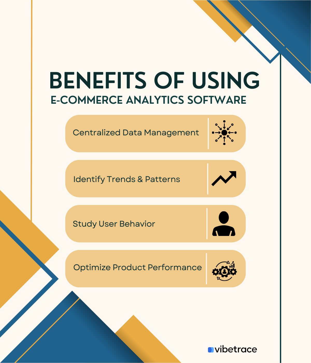 Top White Label E-commerce Analytics Reports for Agencies - Vibetrace