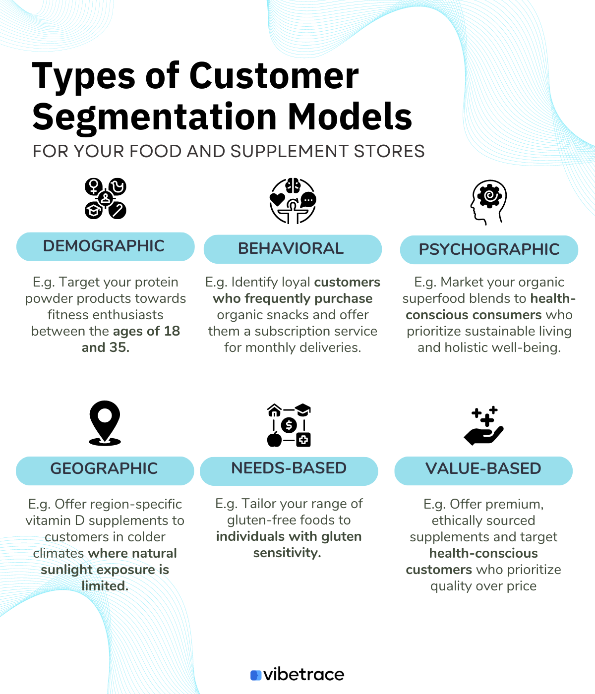 Customer Segmentation & Audiences For Food and Nutrition Store - Vibetrace