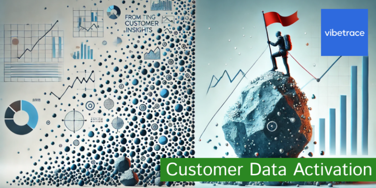Successful Customer Data Activation Projects - Vibetrace